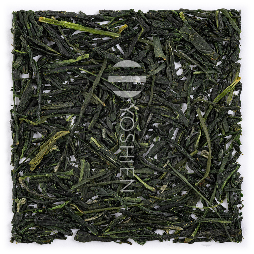 Hashiri Shincha Tanegashima Shuntaro 2024, 80g | Grüner Tee aus Japan ...